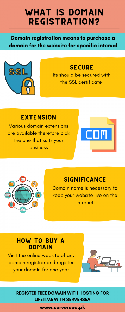 What Is Domain Registration Infographics 